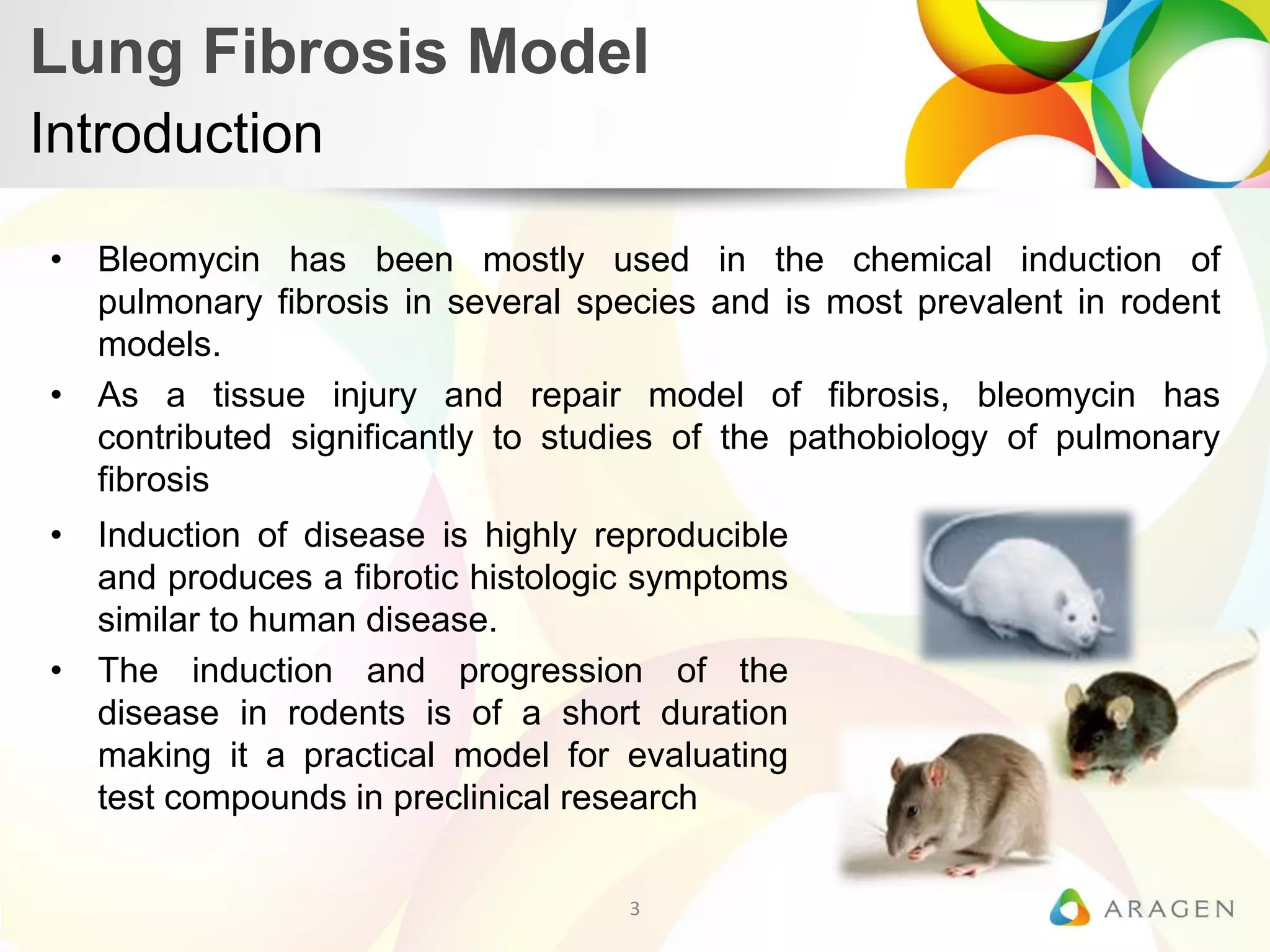 Lung Fibrosis Model Representative Studies by Aragen Bioscience | PDF