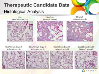 Lung Fibrosis Model Representative Studies by Aragen Bioscience | PDF