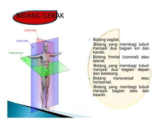 Arah gerak anggota tubuh.pdf