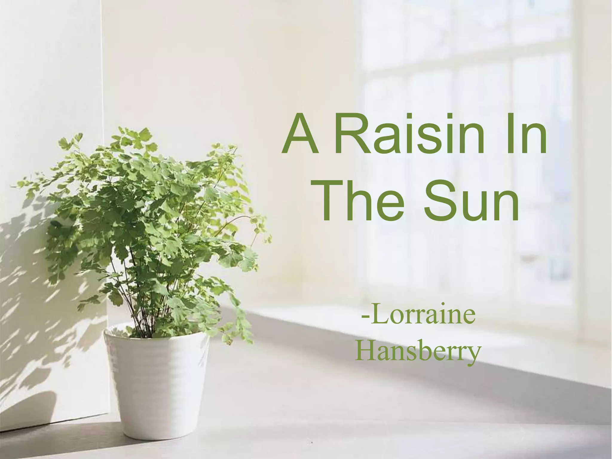 A Raisin in the Sun | PPTX