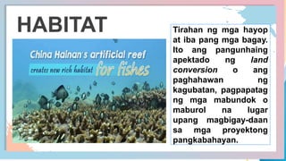 ARAL. PAN 7- COT 2 final.pptx