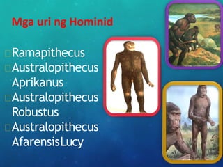 Aralin 2-part-2-pinagmulan-ng-tao-new (1) | PPT