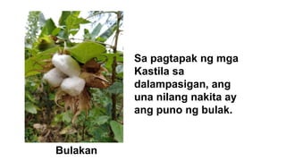 PANIMULANG KASAYSAYAN NG BULACANP_ARALIN 1.pptx