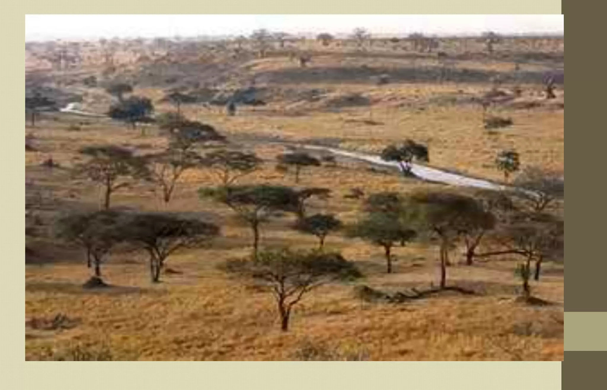 Aralin 14 ang silangang imperyong roman at ang imperyong byzantine (3rd ...