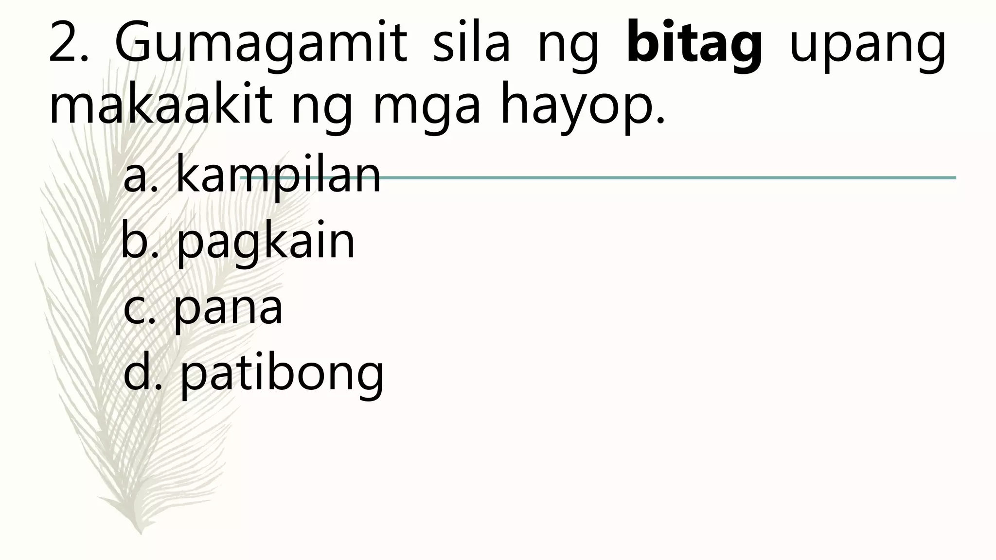 Grade 7_Ang Munting Ibon PART1 | PPTX