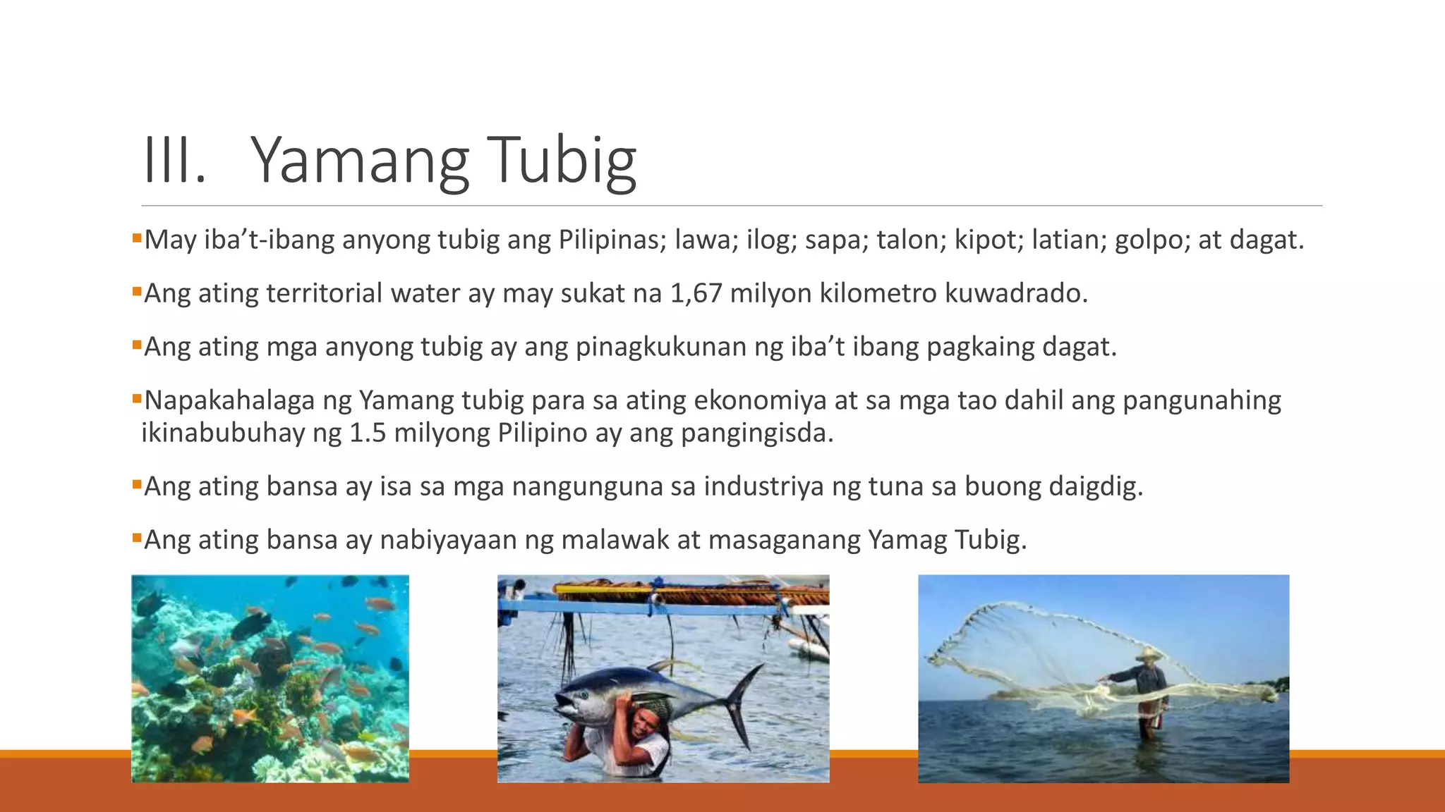 Pinagkukunang Yaman ng Pilipinas | PPTX