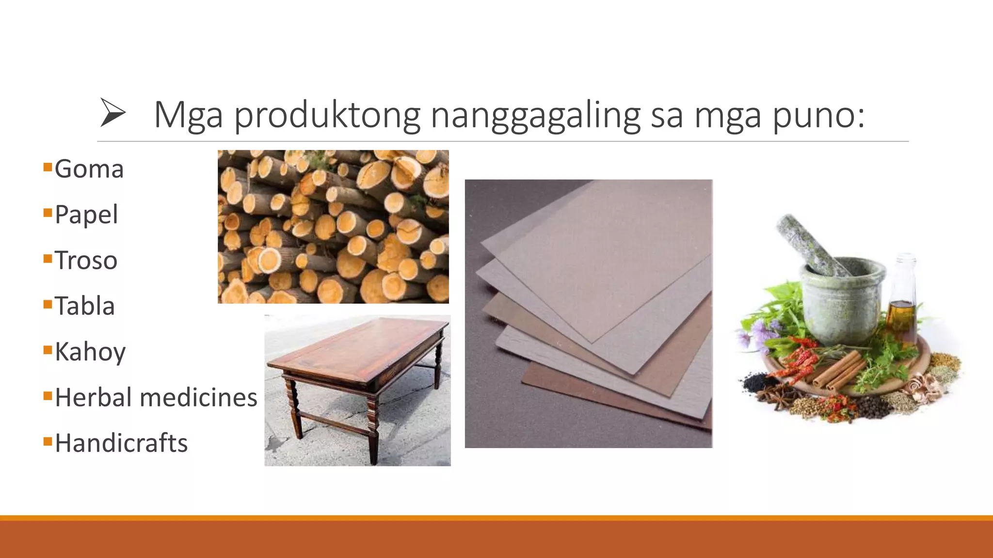 Pinagkukunang Yaman ng Pilipinas | PPTX