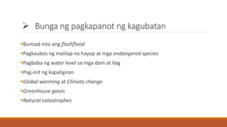 Pinagkukunang Yaman ng Pilipinas | PPTX
