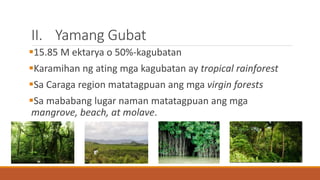 Pinagkukunang Yaman ng Pilipinas | PPTX