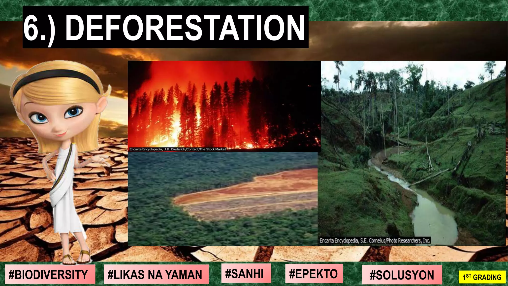 Mga Suliraning Pangkapaligiran at Kalagayang Ekolohikal ng Asya | PDF