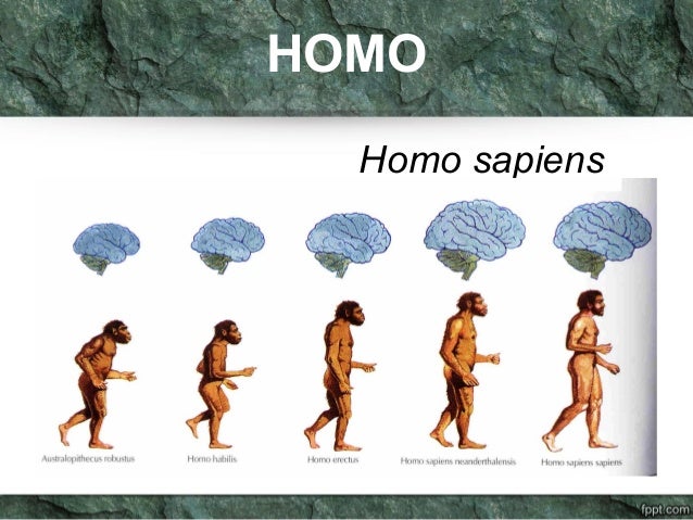 Aralin 2 sinaunang tao