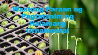 Aralin 22 wastong halaman | PPTX