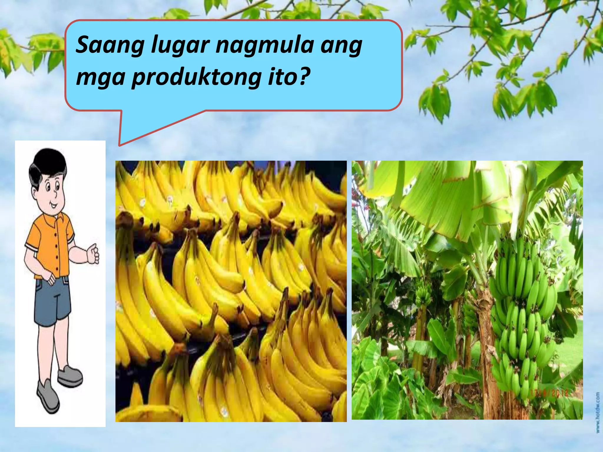 Aralin 2 mga produkto at kalakal sa ibat ibang lokasyon ng bansa | PPTX