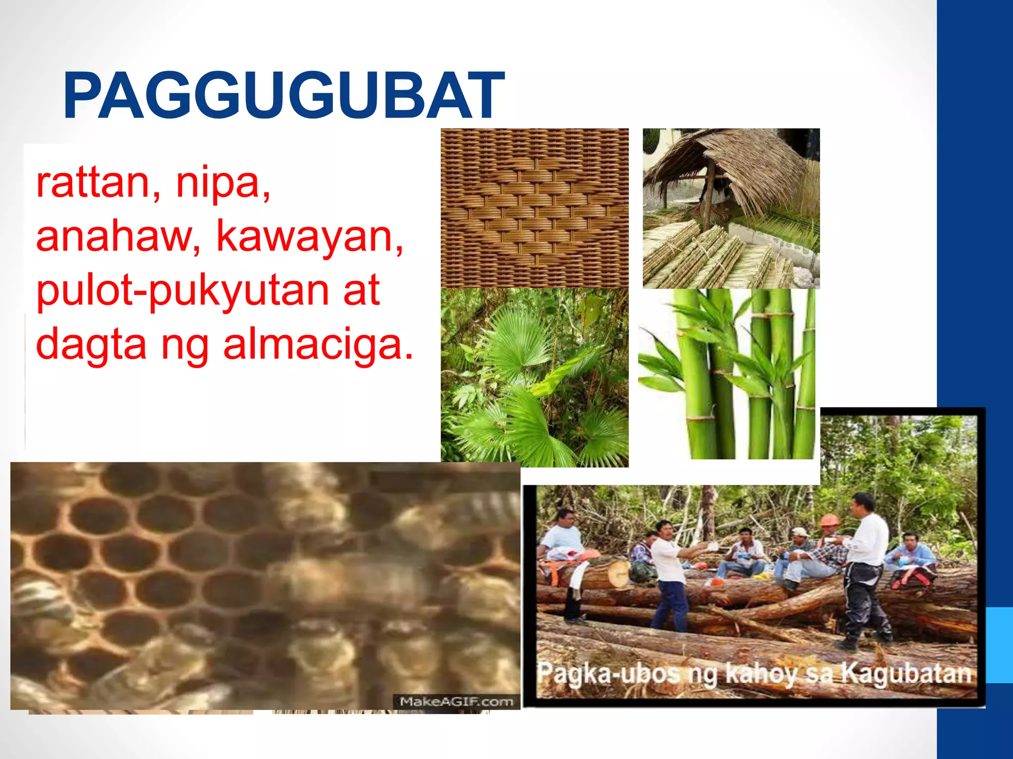 Aralin 2 Sektor sa Agrikultura | PPTX