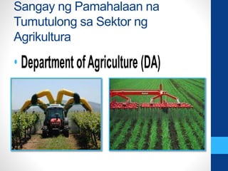 Sinaunang Kagamitan Sa Pagsasaka