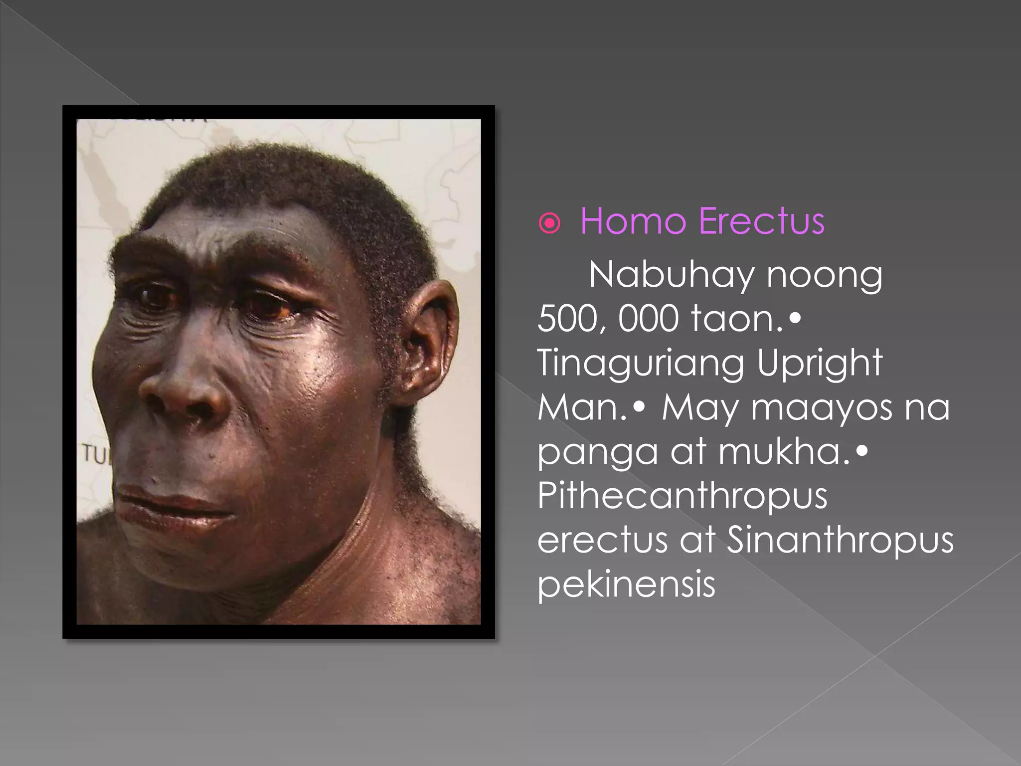 Pinagmulan Ng Tao | PPTX