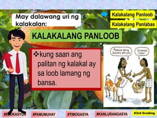 Kalakalan sa Timog at Kanlurang Asya.pptx