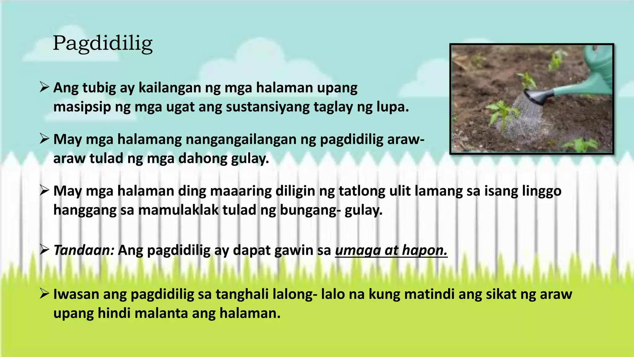 Aralin 3- MasisitemanPangangalaga ng Gulay.pptx