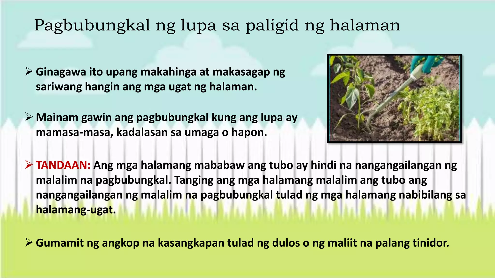 Aralin 3- MasisitemanPangangalaga ng Gulay.pptx