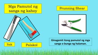 Aralin 3- MasisitemanPangangalaga ng Gulay.pptx