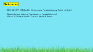 Aralin 3- MasisitemanPangangalaga ng Gulay.pptx