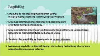 Aralin 3- MasisitemanPangangalaga ng Gulay.pptx