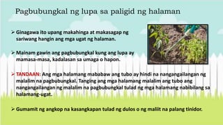 Aralin 3- MasisitemanPangangalaga ng Gulay.pptx