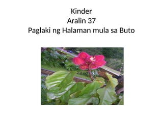 Aralin 37 Halaman mula sa butjguxgwjugo.pptx