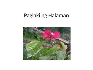 Aralin 37 Halaman mula sa butjguxgwjugo.pptx