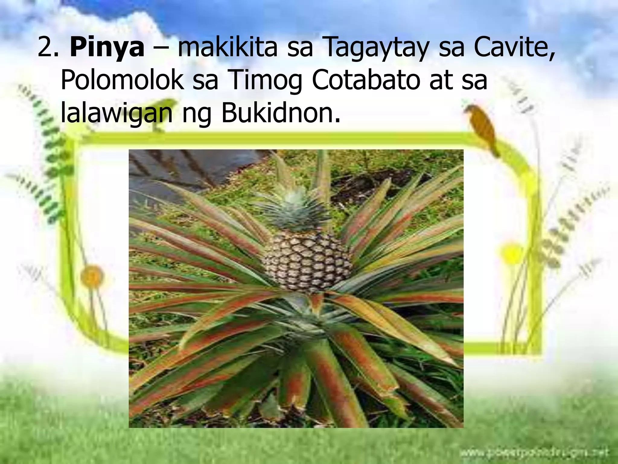 Ang mga Yaman ng Pilipinas | PPTX