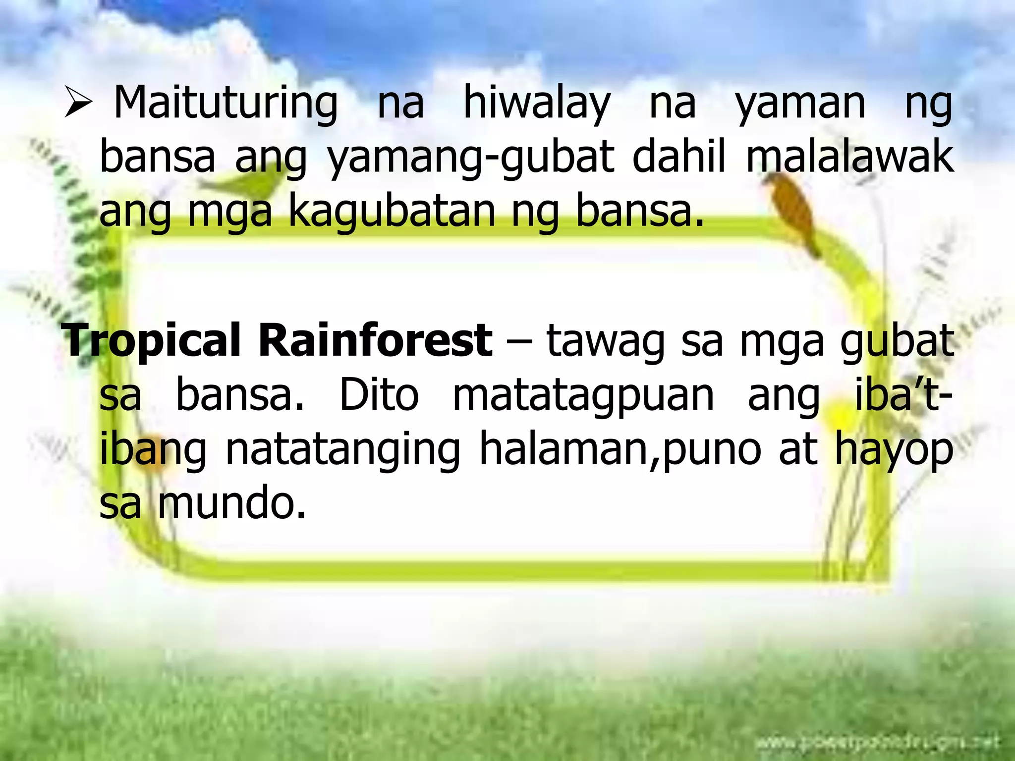 Ang mga Yaman ng Pilipinas | PPTX