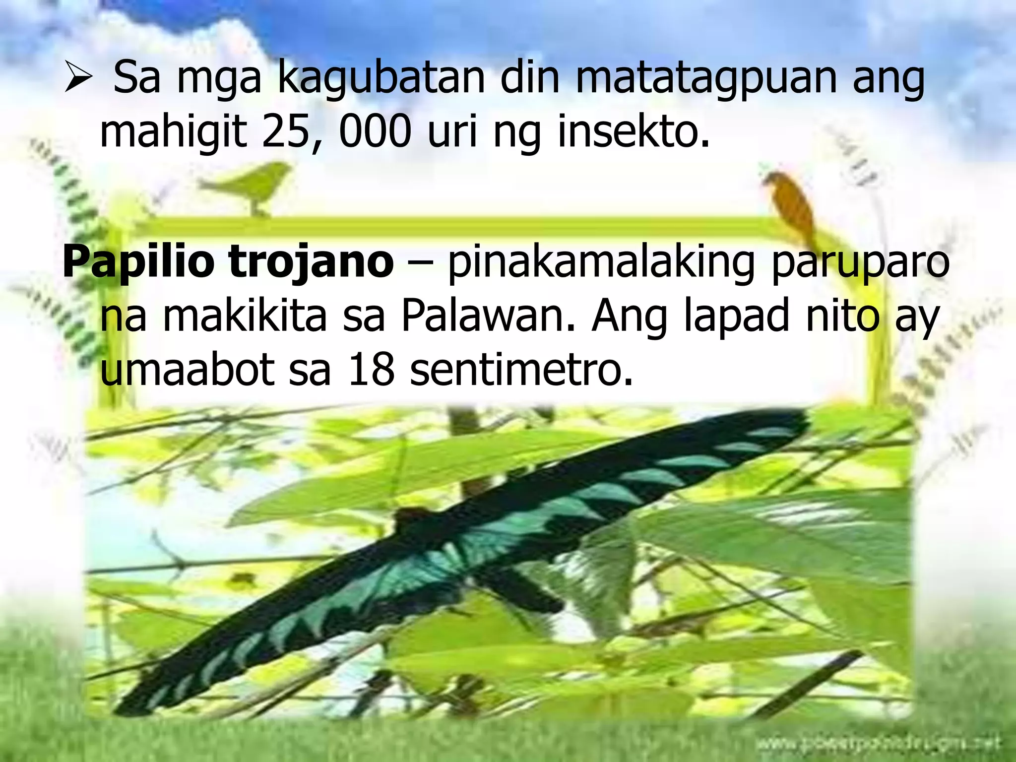 Ang mga Yaman ng Pilipinas | PPTX