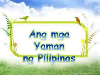 Ang mga Yaman ng Pilipinas | PPTX