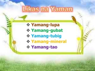 Ang mga Yaman ng Pilipinas | PPTX