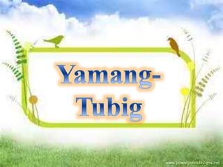 Ang mga Yaman ng Pilipinas | PPTX