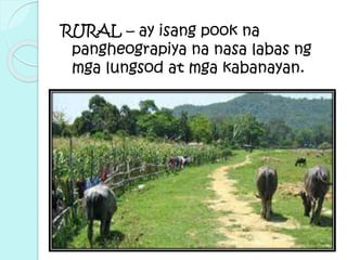 Ang Populasyon sa Pilipinas | PPTX