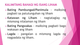 Aralin 4 Liham Pangangalakal at Aplikasyon | PPTX
