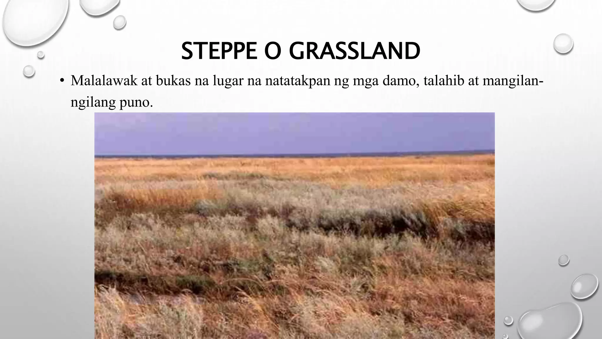 Aralin 5 biome ng asya | PPTX