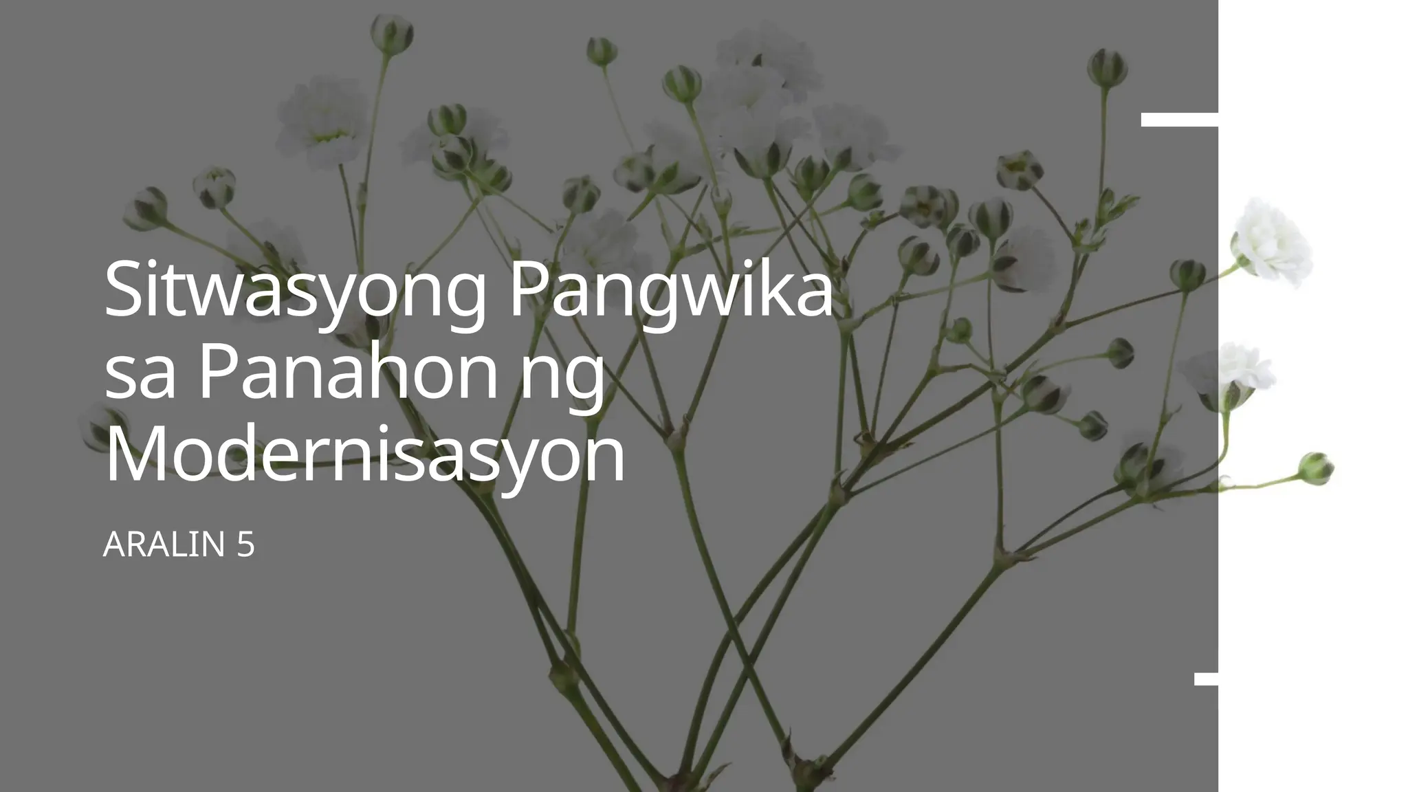 Sitwasyong Pangwika sa Panahon ng Modernisasyon.pptx
