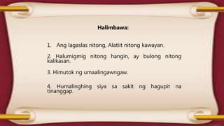 Uri ng Tayutay | PPTX