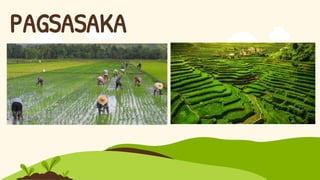 Pamumuhay at Teknolohiya ng Sinaunang Pilipino | PPTX