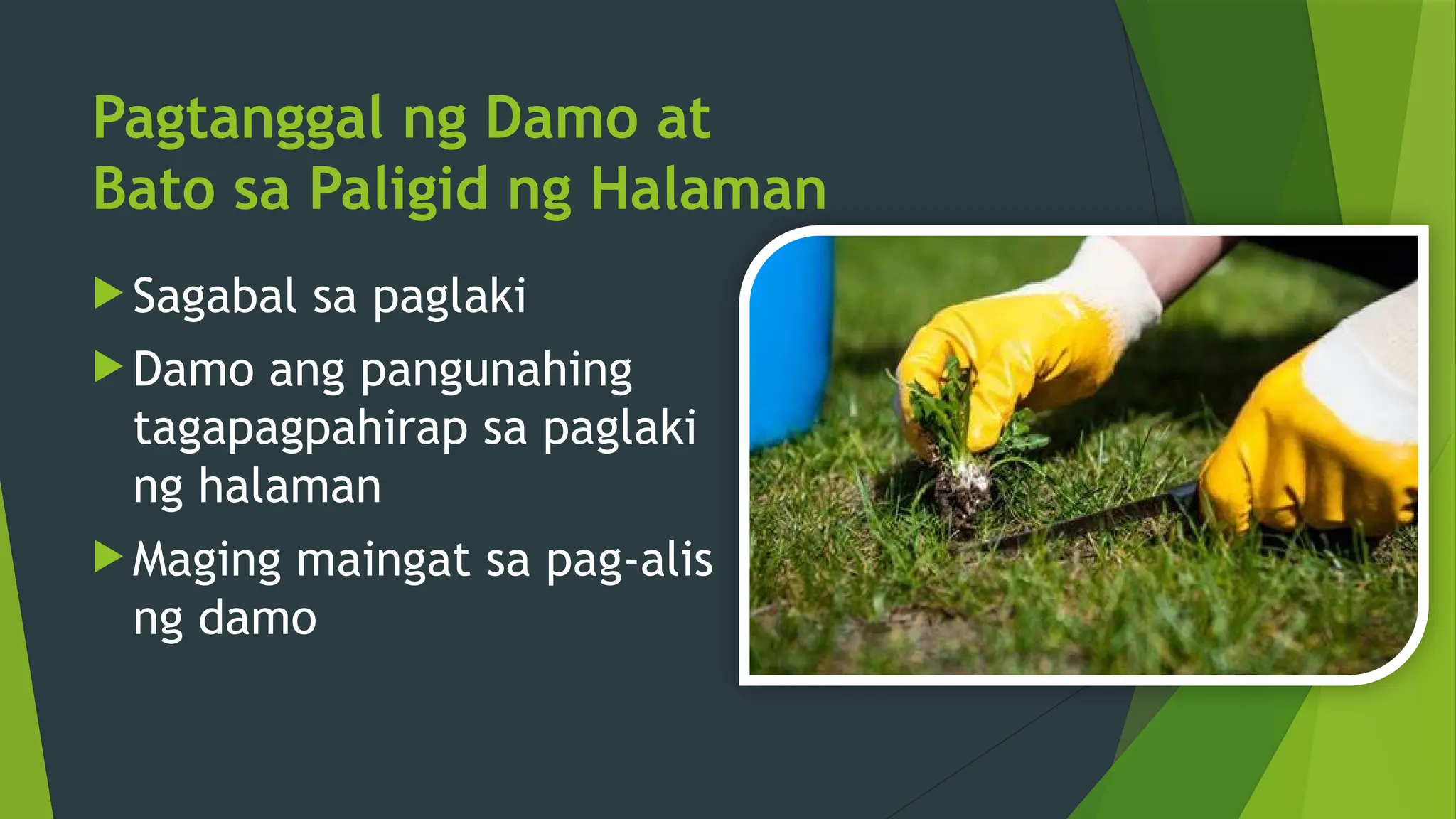 ARALIN 8 HELE 6 Pangangalaga sa Halaman.pptx