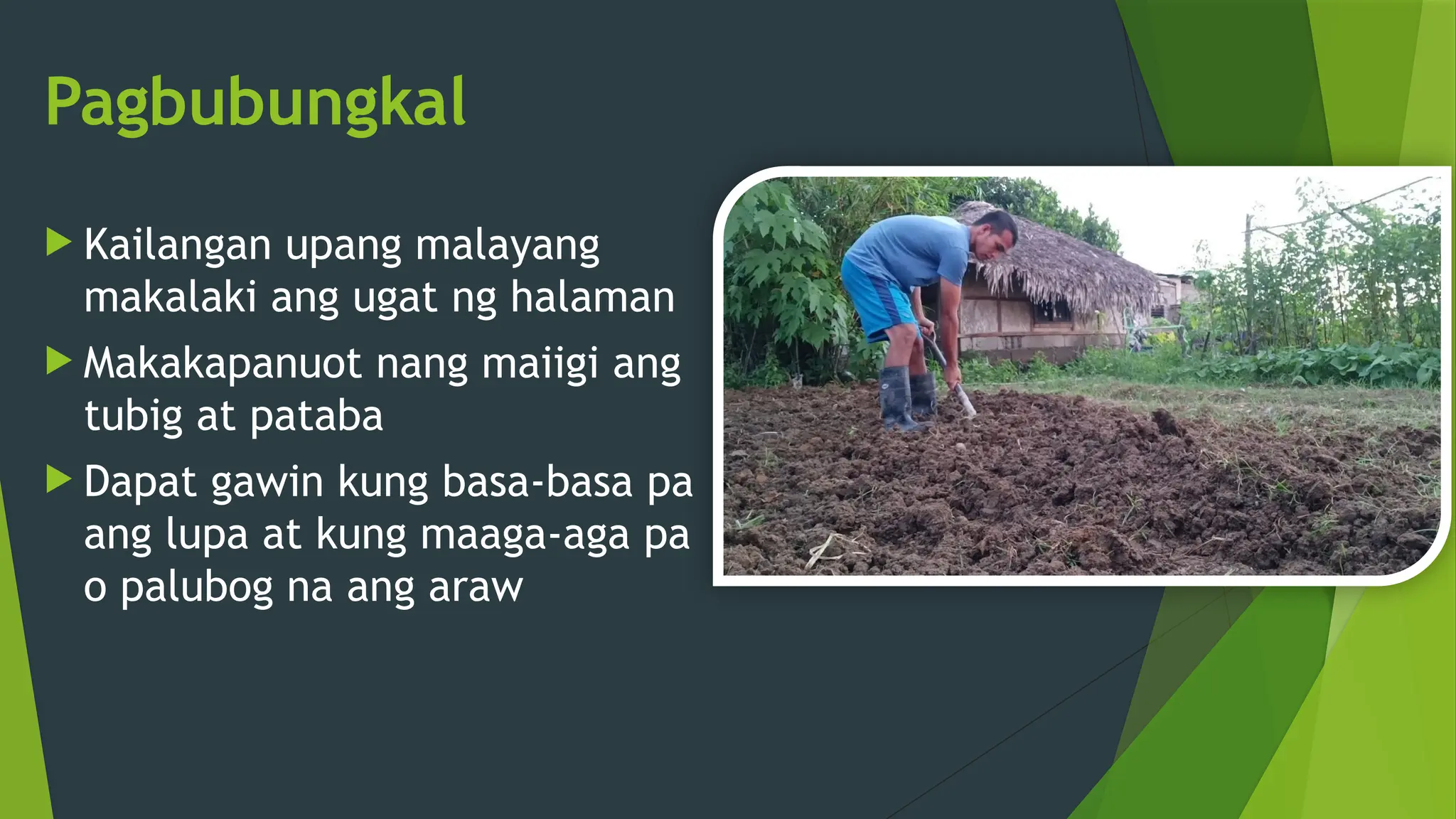 ARALIN 8 HELE 6 Pangangalaga sa Halaman.pptx