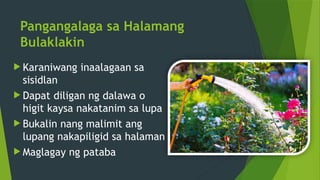 ARALIN 8 HELE 6 Pangangalaga sa Halaman.pptx