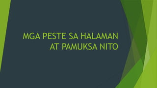 ARALIN 8 HELE 6 Pangangalaga sa Halaman.pptx