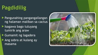 ARALIN 8 HELE 6 Pangangalaga sa Halaman.pptx