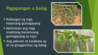 ARALIN 8 HELE 6 Pangangalaga sa Halaman.pptx