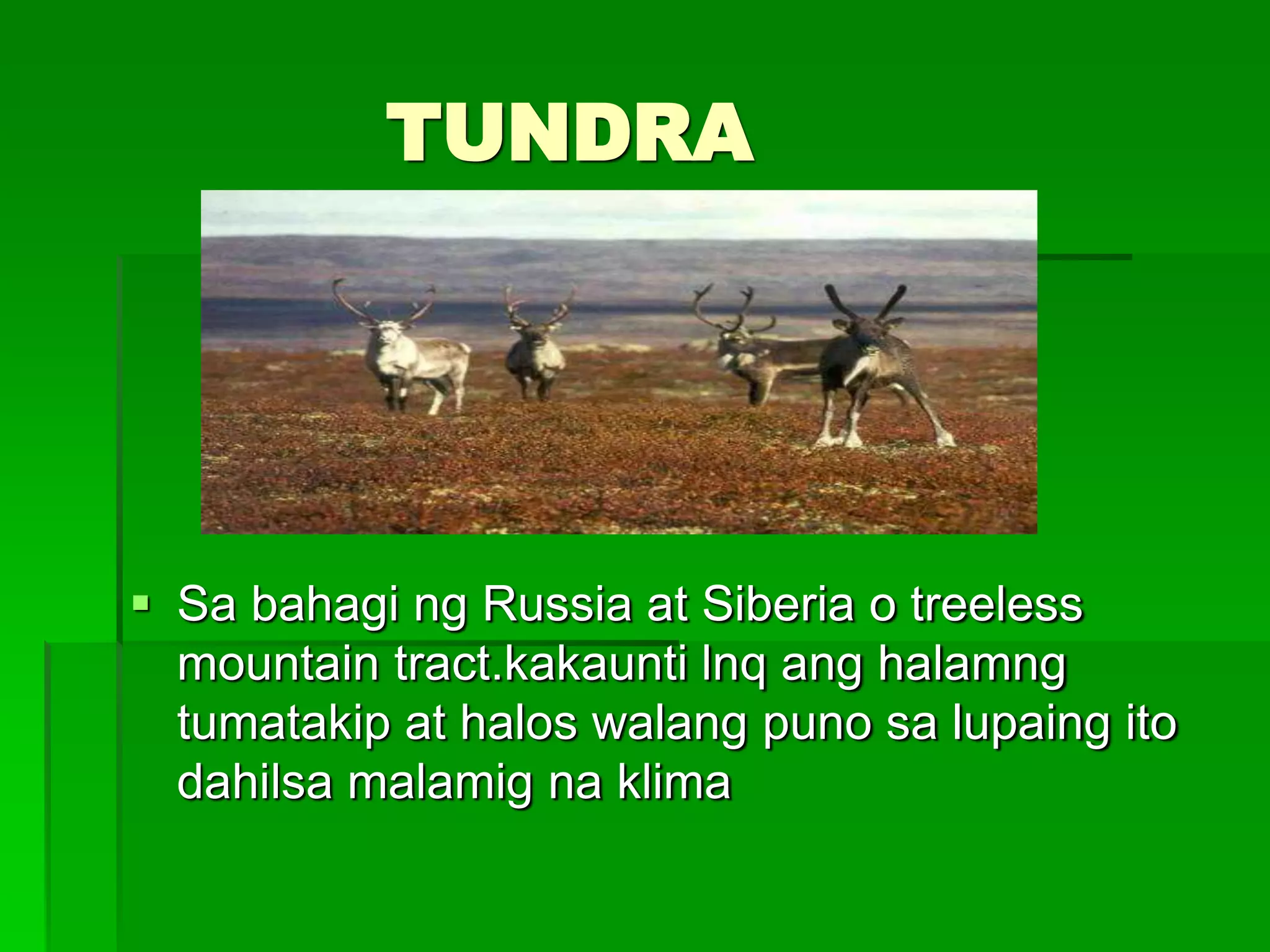 Araling asyano ii ( project in AP) | PPT