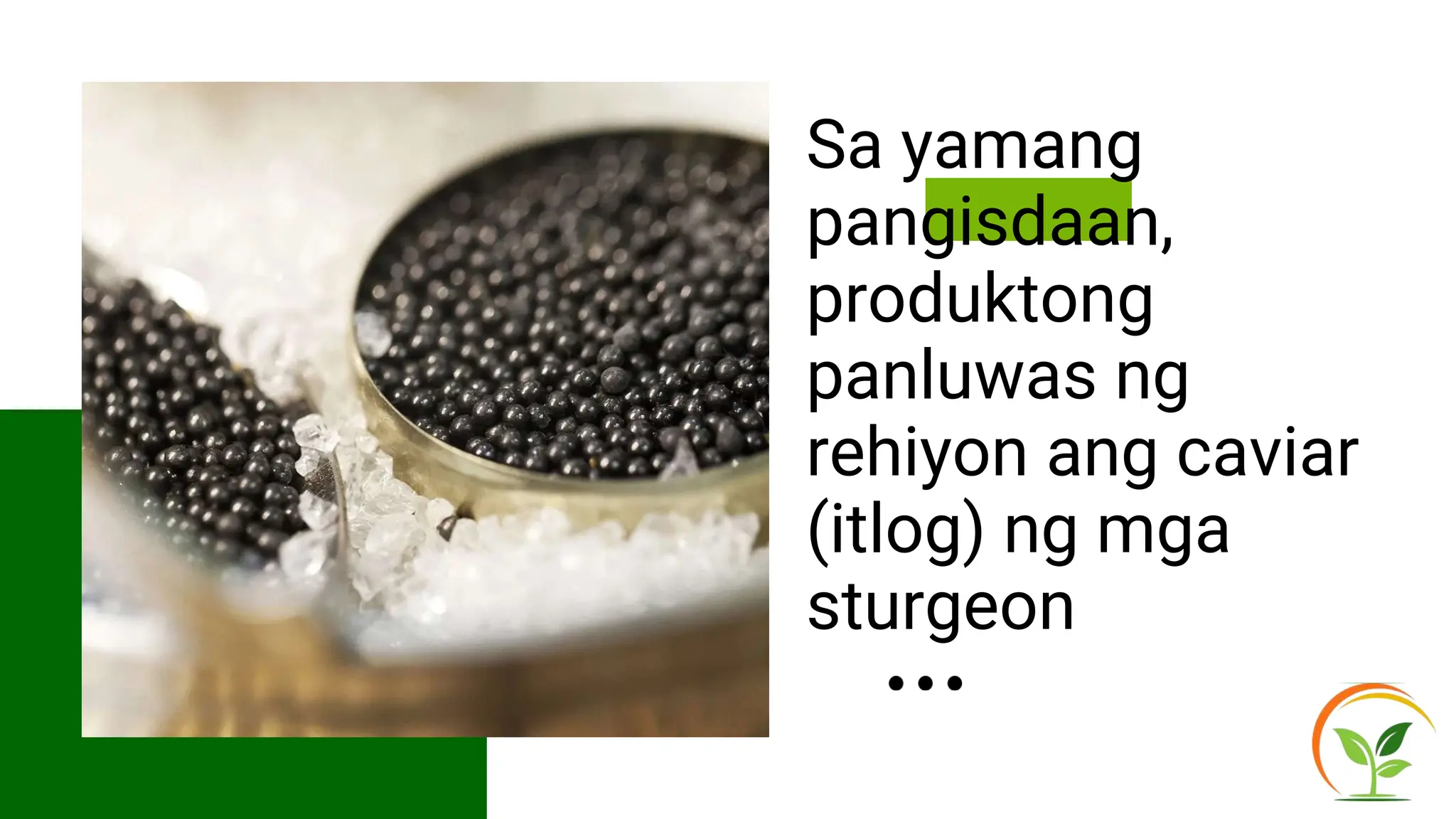 Mga Likas na Yaman ng Asya | PPTX