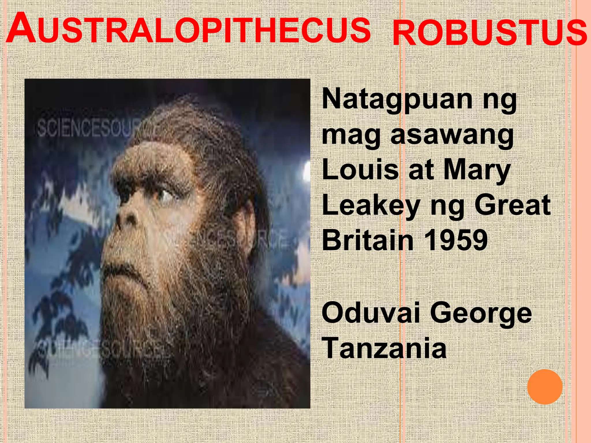 aralingpanlipunangrade8aralin2sinaunangtao-150818053147-lva1-app6892.pptx